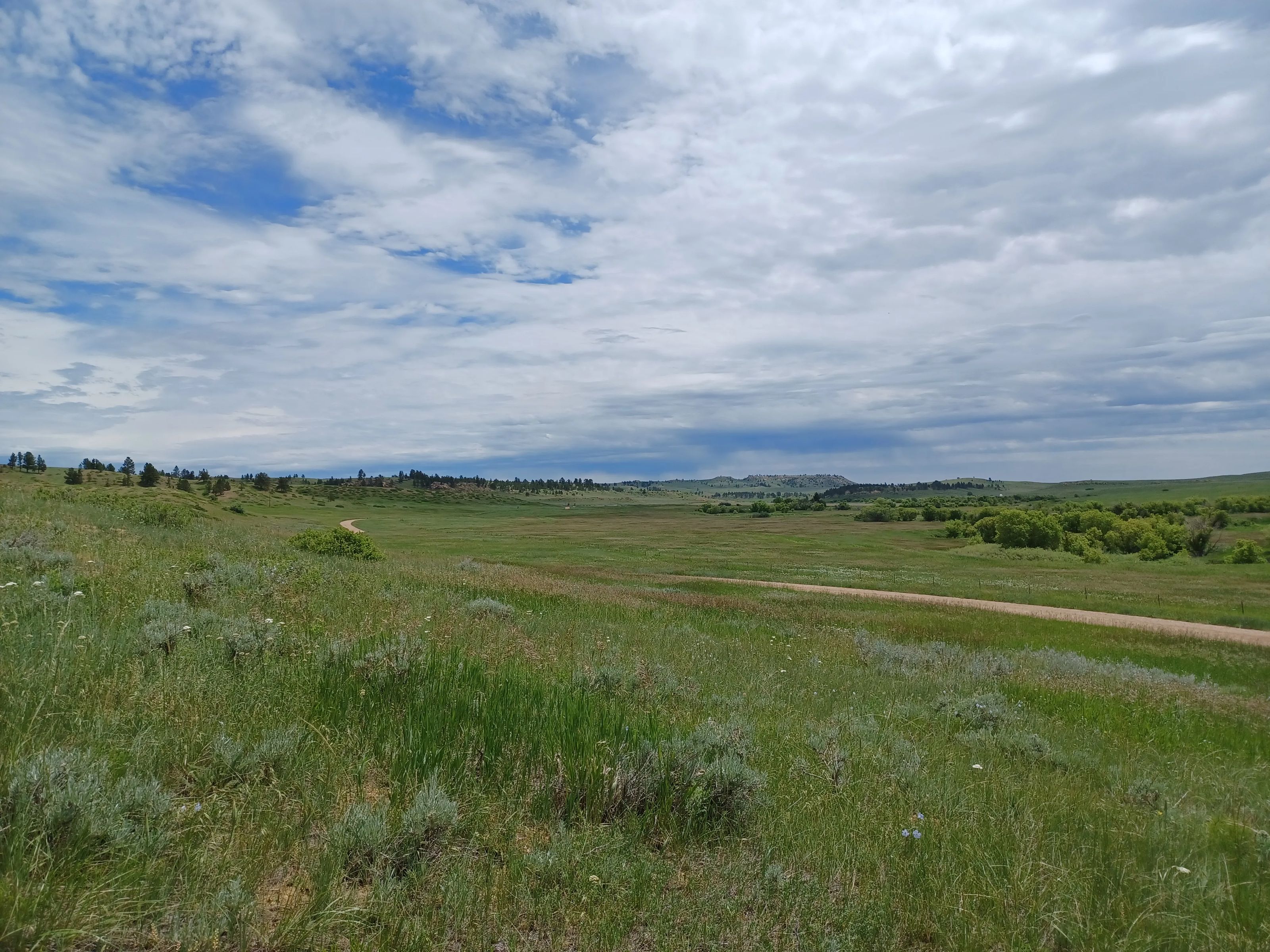 Weekly Gem #288, The Battle of the Rosebud