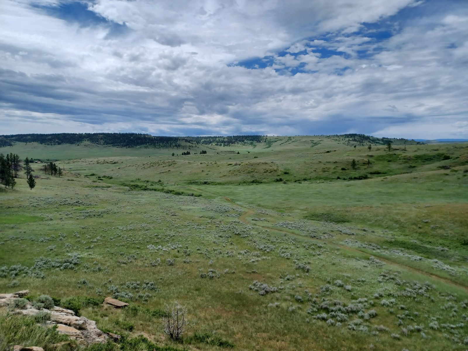 Weekly Gem #288, The Battle of the Rosebud